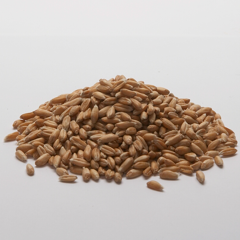 Whole Grains Defined | Roman Meal International