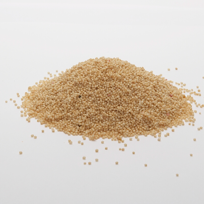 Whole Grains Defined | Roman Meal International