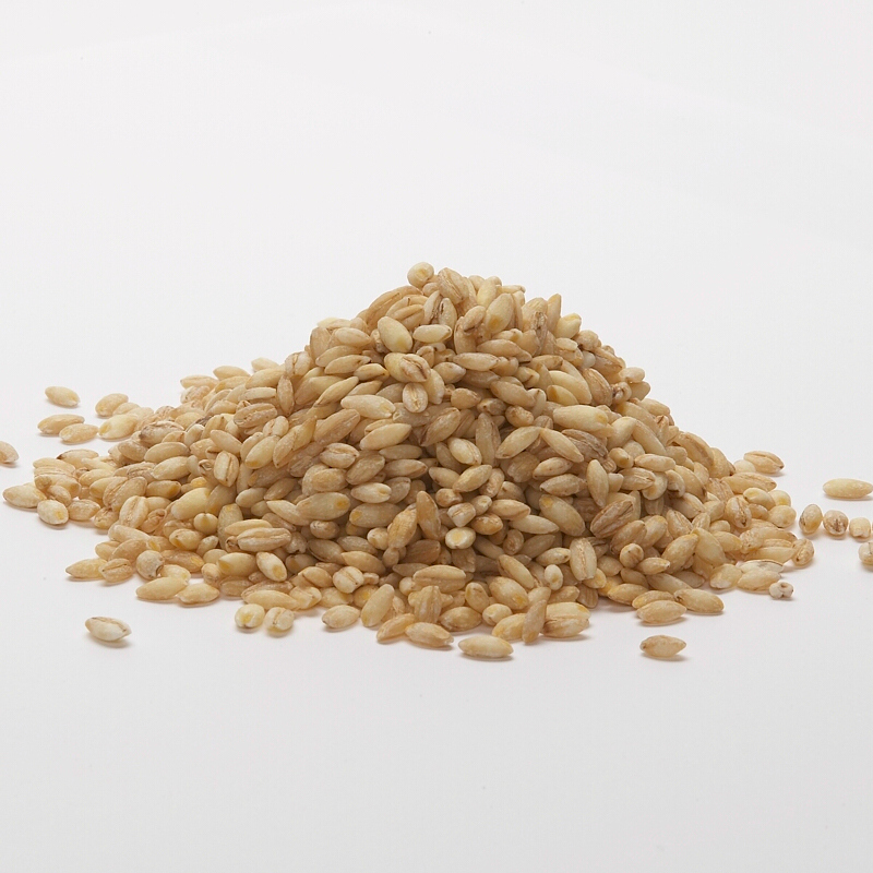 Whole Grains Defined | Roman Meal International
