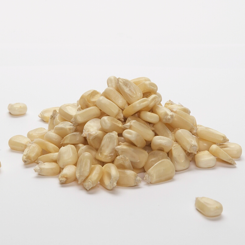 Whole Grains Defined | Roman Meal International