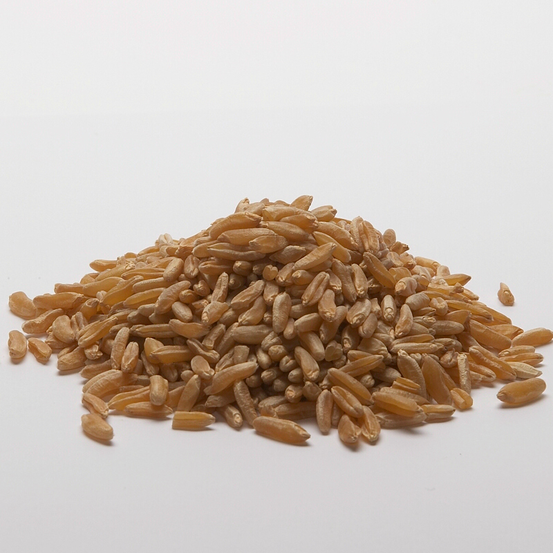 Whole Grains Defined | Roman Meal International