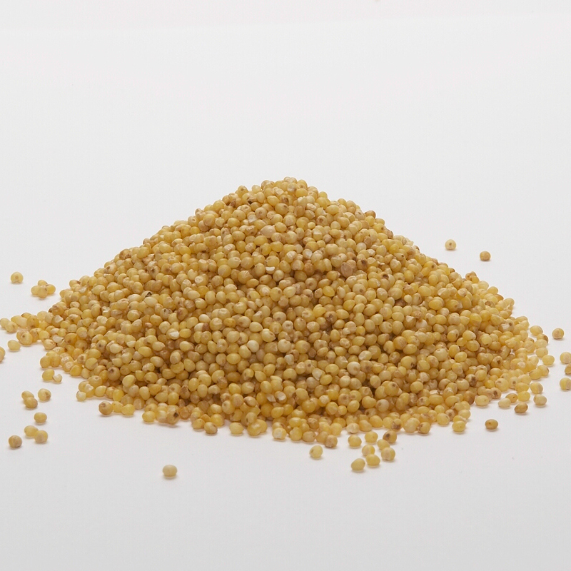 Whole Grains Defined | Roman Meal International